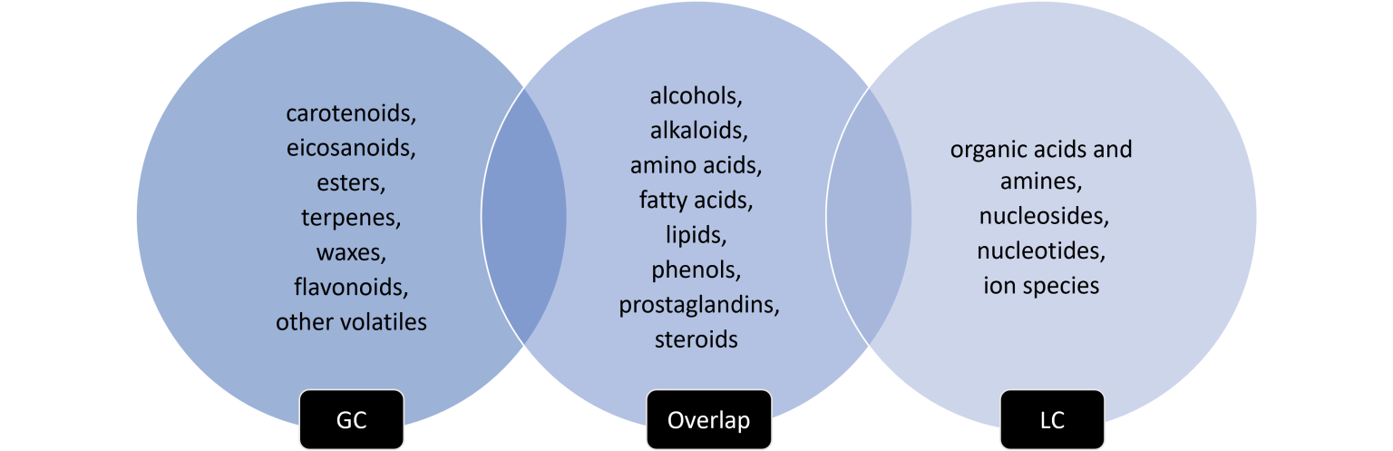 Sample Preparation – GC-FID – Polymer Chemistry Characterization Lab